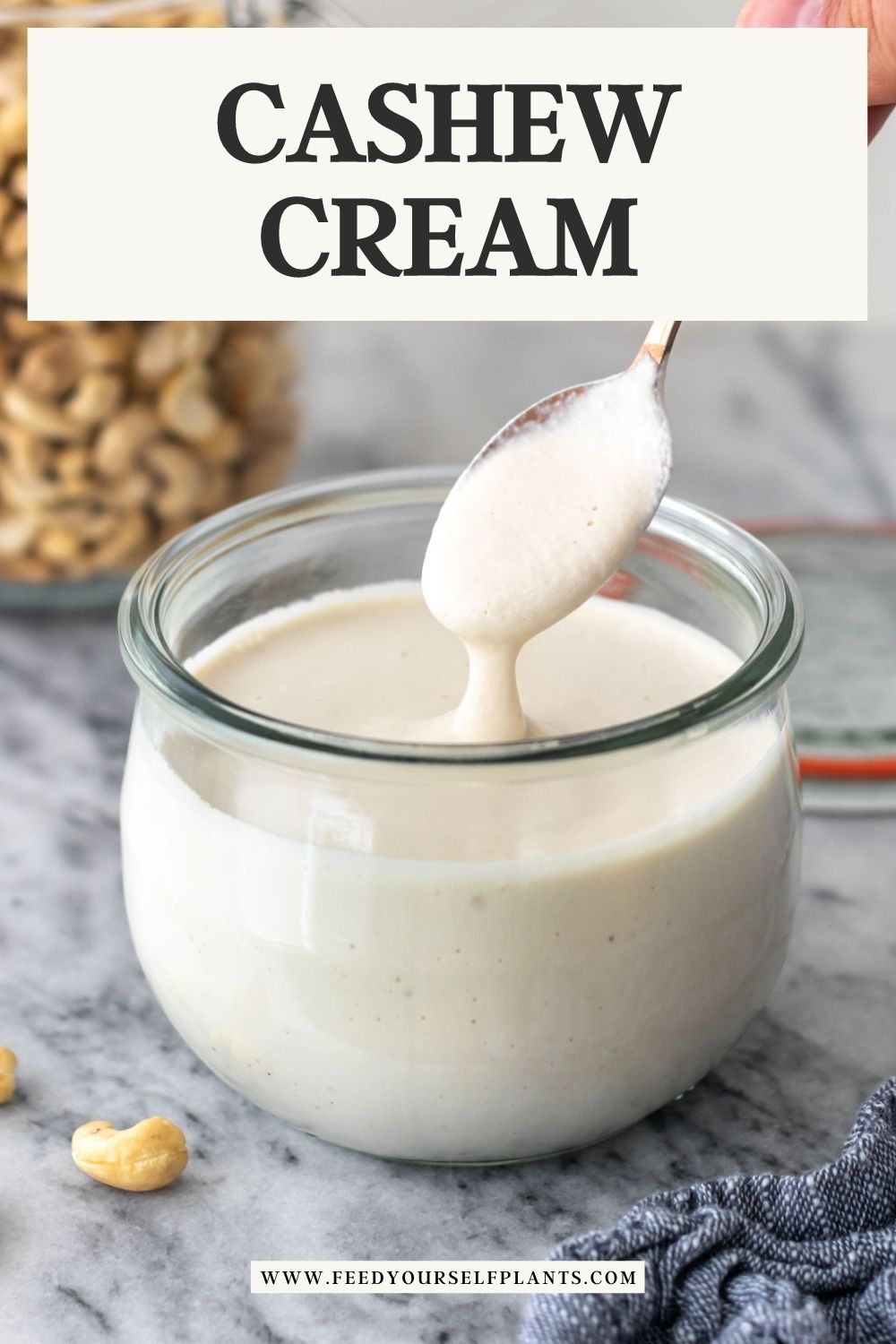 Cooking Basics | Feed Yourself Plants