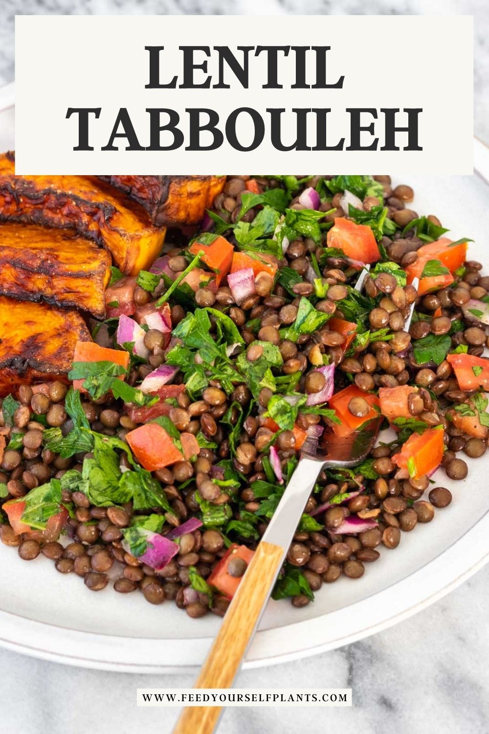 Main Dishes | Feed Yourself Plants