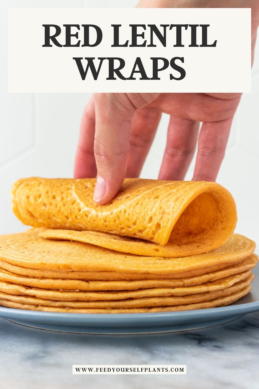 Main Dishes | Feed Yourself Plants