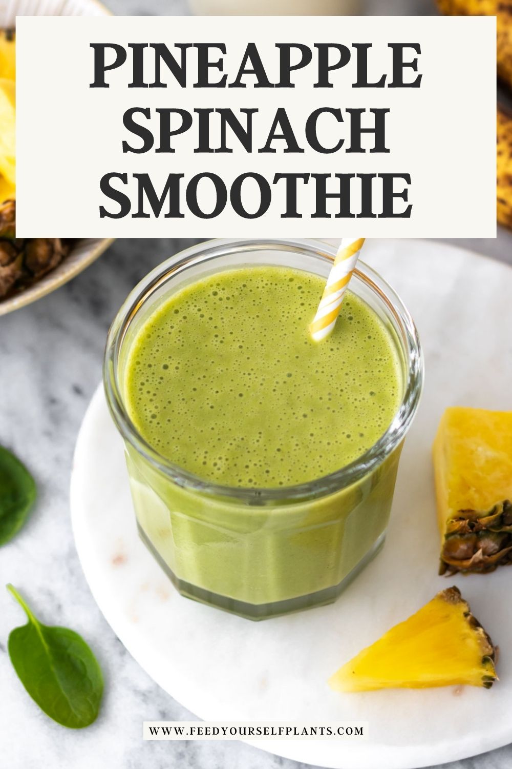 Apple Strawberry Smoothie | Feed Yourself Plants